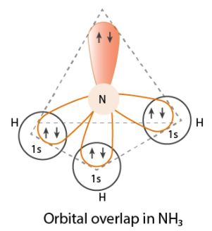 NH3 Lewis Structure, Geometry, and Hybridization - Techiescientist - 万博 ...