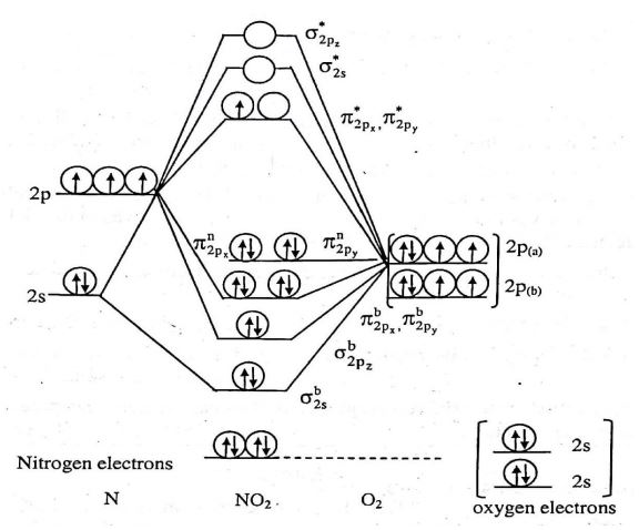 N2O4路易斯结构,分子几何、杂交、莫图,和极性——Techiescientist万博网页版 - 万博网页版,万博体育app手机版登录