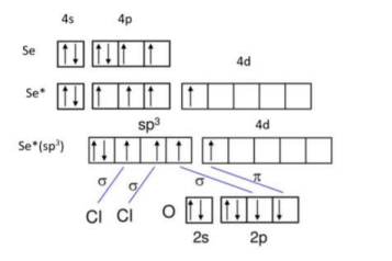 SeOCl2 Lewis Structure, Geometry, Hybridization, and Polarity ...