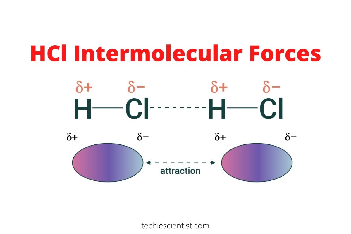 HCl Intermolecular Forces — Type, Strong or Weak? - Techiescientist ...